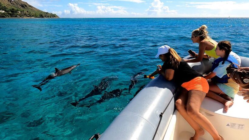 Oahu: Private Whale Watching Adventure - FAQs