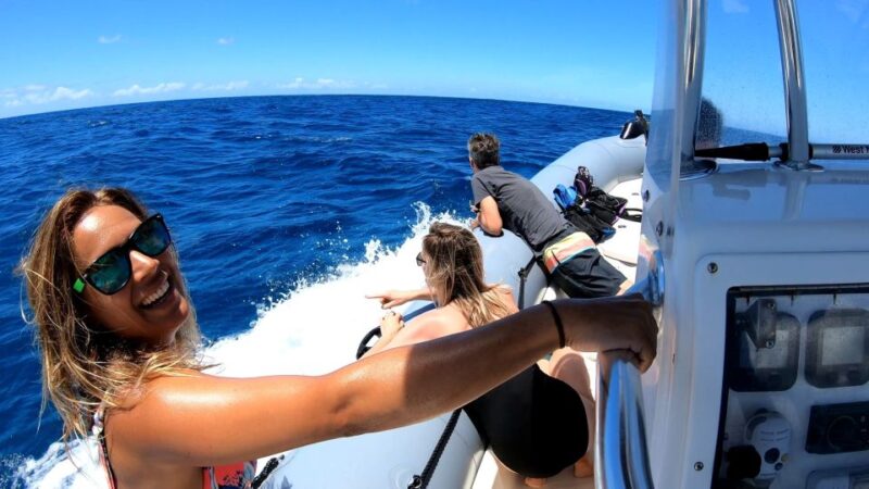 Oahu: Private Whale Watching Adventure - What’s Included and What’s Not