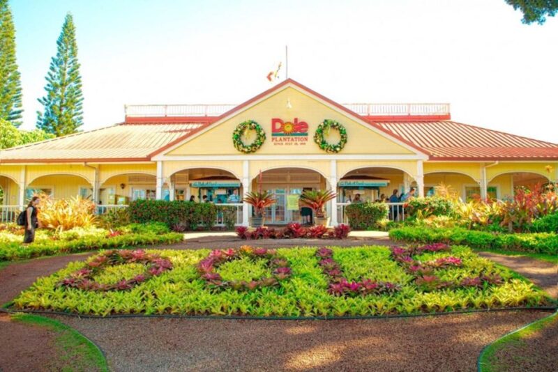 Oahu: Secret Beach Circle Island Adventure - FAQs