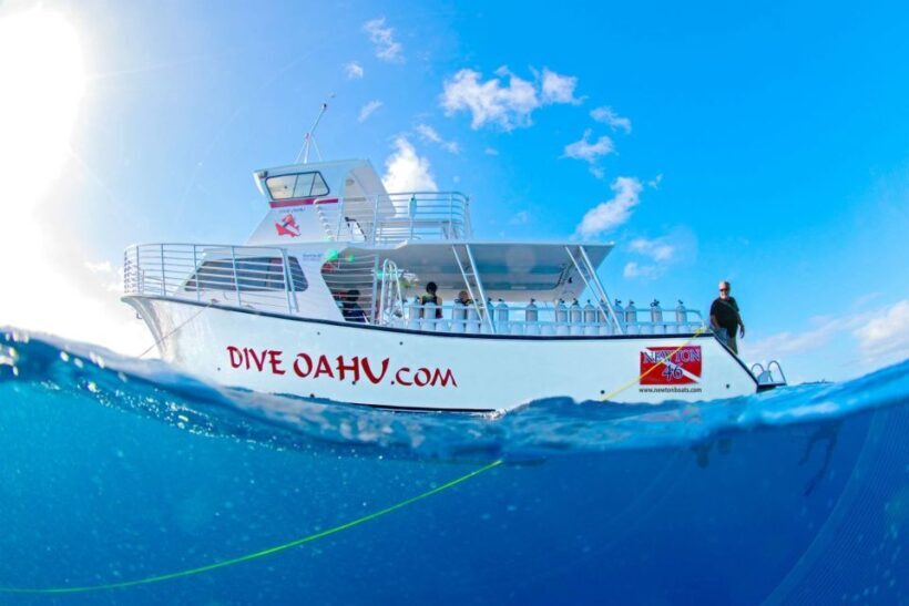 Oahu: Shallow Reef Scuba Dive for Certified Divers - Discovering the Underwater World of Honolulu