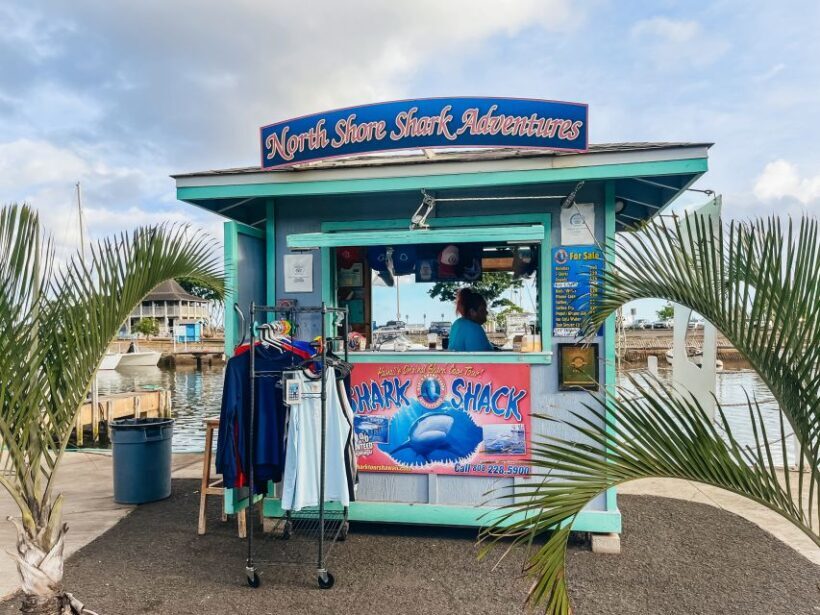 Oahu: Shark Cage Dive on the North Shore - The Sum Up