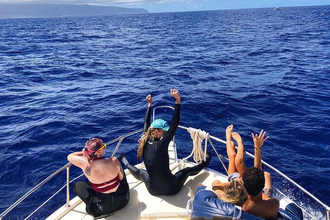 Oahu Shark Dive (No Cage) - Pricing and Booking Options