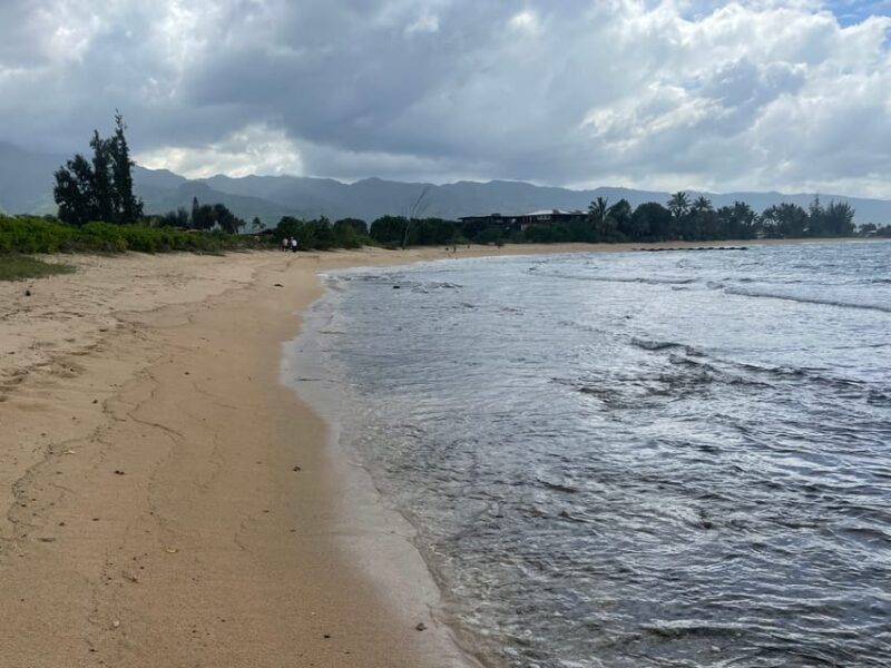 Oahu: Shoreline Restoration Tour w/ Native Plants & Animals - Is It Worth the Price?