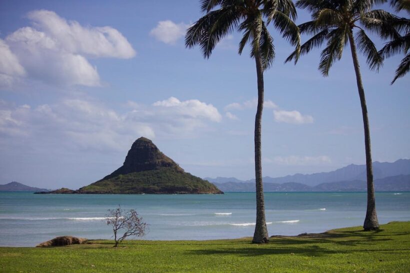 Oahu Sights and Shopping Slingshot Tour - What Travelers Say