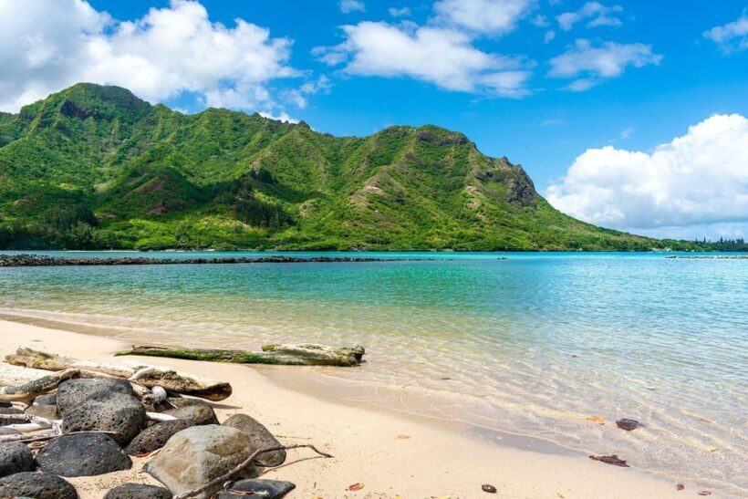 Oahu: Single & Double Kayak 3-Hour River Rental - What the Experience Includes and How It Works