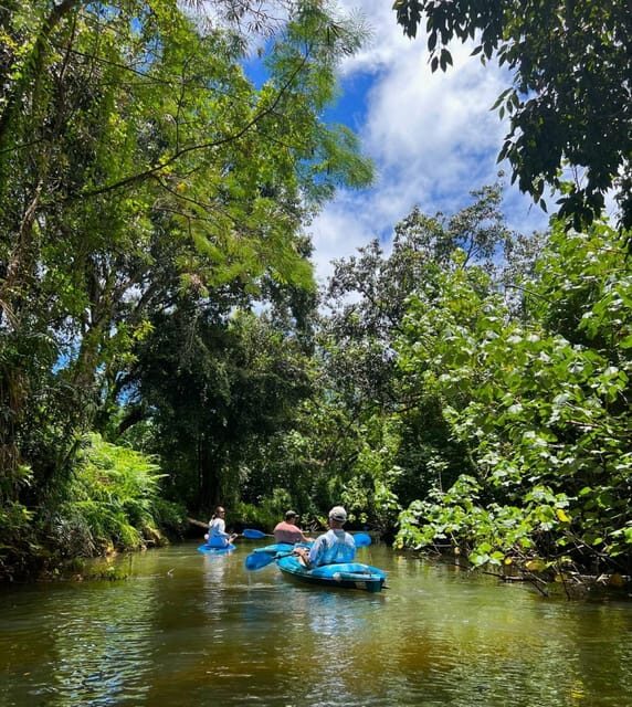 Oahu: Single & Double Kayak 3-Hour River Rental - The Scenic and Practical Benefits