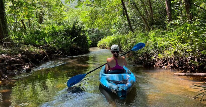 Oahu: Single & Double Kayak 3-Hour River Rental - Value and Cost Analysis