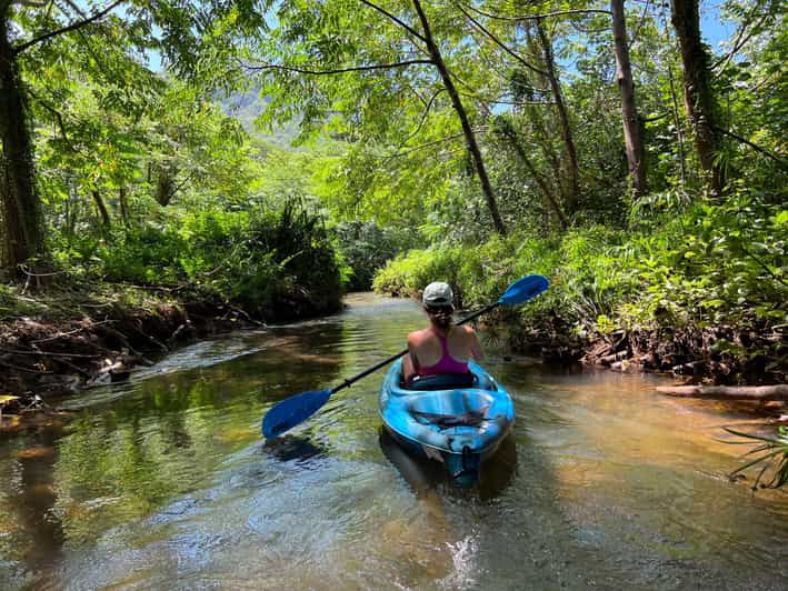 Oahu: Single & Double Kayak 3-Hour River Rental - What to Expect During Your Kayak Trip