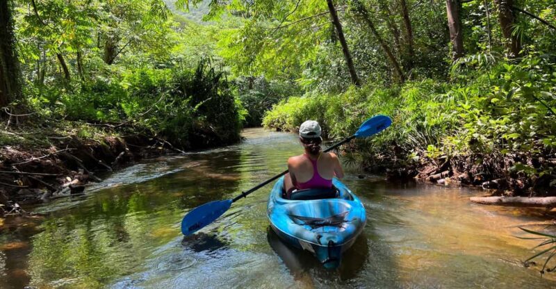 Oahu: Single & Double Kayak 3-Hour River Rental - The Value of the Experience