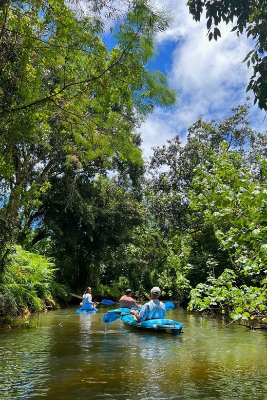 Oahu: Single & Double Kayak 3-Hour River Rental - The Sum Up