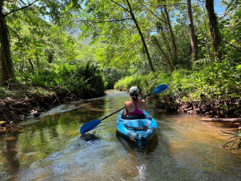 Oahu: Single & Double Kayak 3-Hour River Rental - FAQ