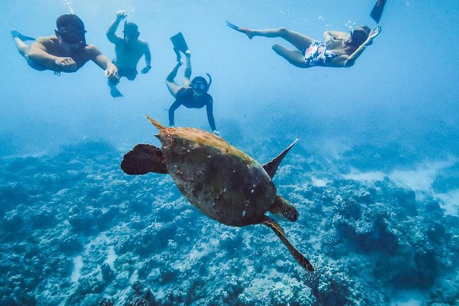 Oahu Small Group Snorkel Tour With Yacht Cruise - Meeting and Departure Details