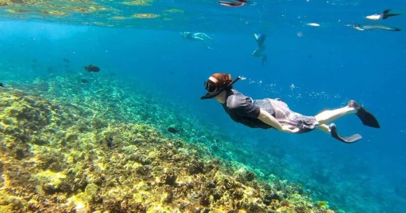 Oahu: Snorkel Adventure in Marine Sanctuary - A Closer Look at the Snorkel Adventure in Oahu’s Marine Sanctuary