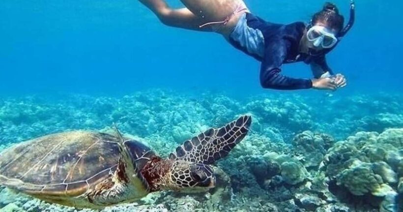 Oahu: Snorkel Adventure in Marine Sanctuary - Final Thoughts