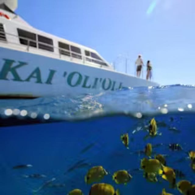 Oahu: Snorkeling & Dolphin Watch Cruise with Hawaiian Buffet - Key Points