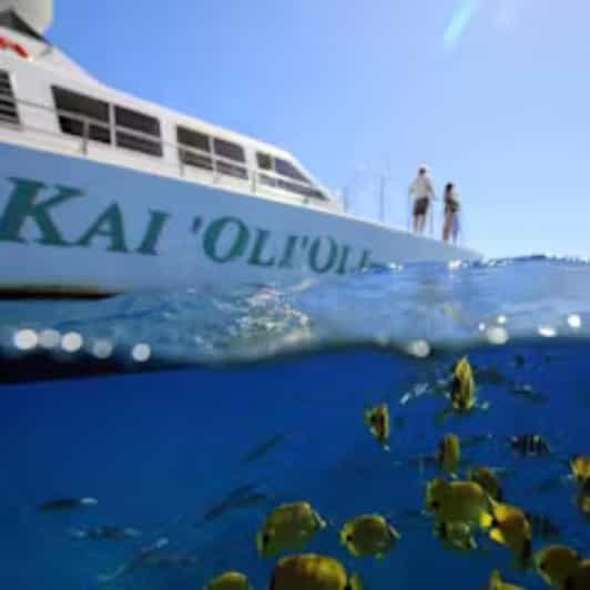 Oahu: Snorkeling & Dolphin Watch Cruise with Hawaiian Buffet - The Itinerary Breakdown