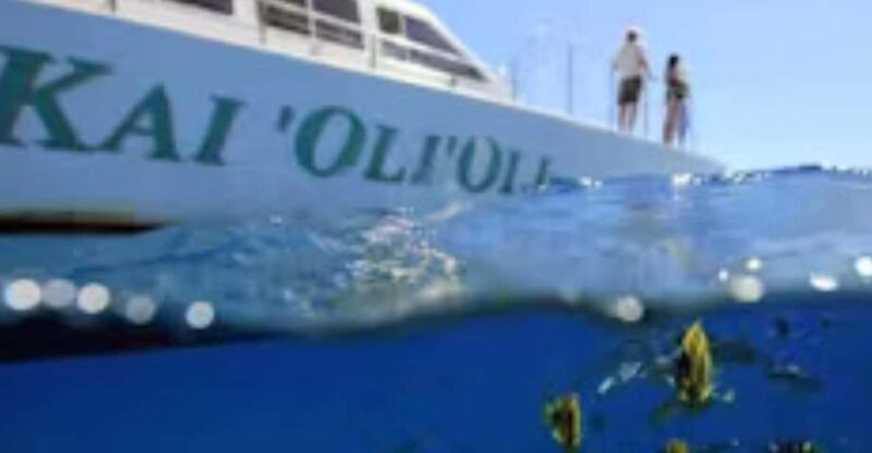 Oahu: Snorkeling & Dolphin Watch Cruise with Hawaiian Buffet - Authentic Perspectives from Travelers