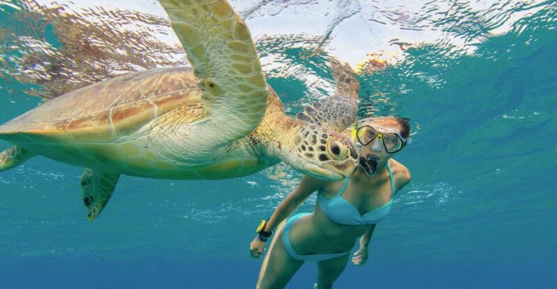Oahu Snorkeling with Turtles, Water Scooter, Paddleboard - Transportation and Overall Value