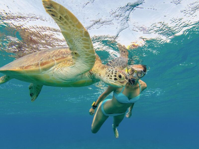 Oahu Snorkeling with Turtles, Water Scooter, Paddleboard - Who Should Consider This Tour?