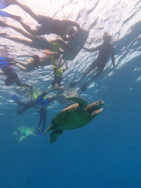 Oahu Snorkeling with Turtles, Water Scooter, Paddleboard - Final Thoughts