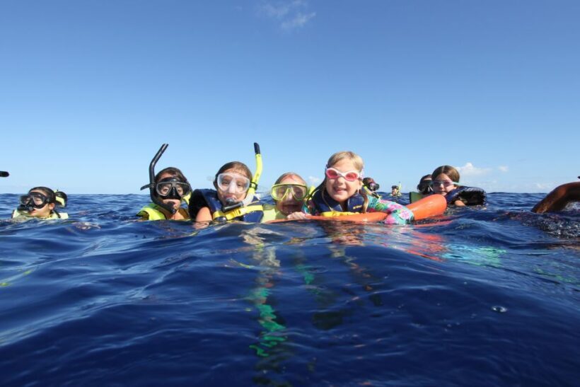 Oahu: Speedboat Snorkeling Adventure and Wild Dolphin Swim - Final Thoughts: Is This Tour Worth It?
