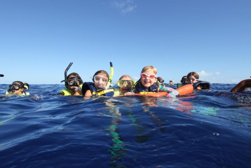 Oahu: Speedboat Snorkeling Adventure and Wild Dolphin Swim - Final Summary: The Value of an Authentic Ocean Adventure