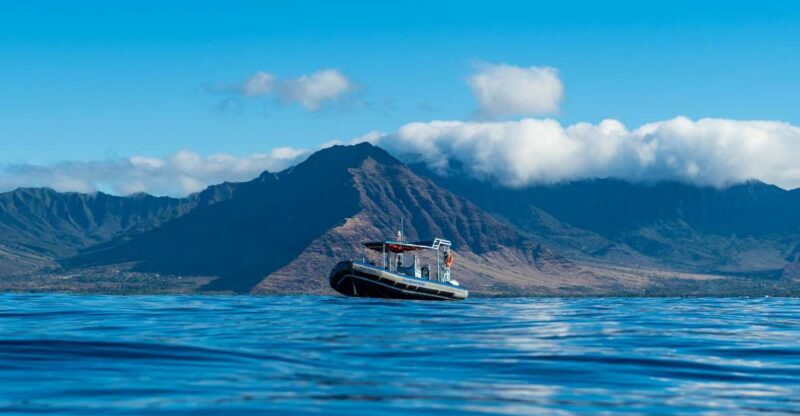 Oahu: Speedboat Snorkeling Adventure and Wild Dolphin Swim - FAQ