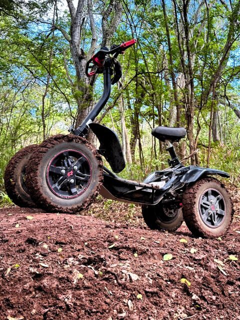 Oahu: Stand-Up ATV Adventure at Coral Crater Adventure Park - The Experience in Context