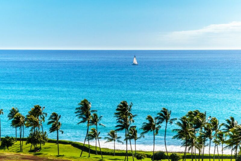 Oahu: Sunset Cruise of West Oahu with Drinks and Appetizers - Who Is This Tour Best For?