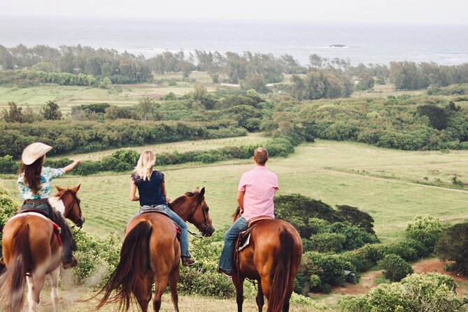 Oahu Sunset Horseback Ride - Feedback From Previous Guests