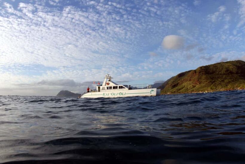 Oahu: Sunset Snorkeling, Dolphin Watch Cruise, Hawaiian meal - Who Will Love This Tour?