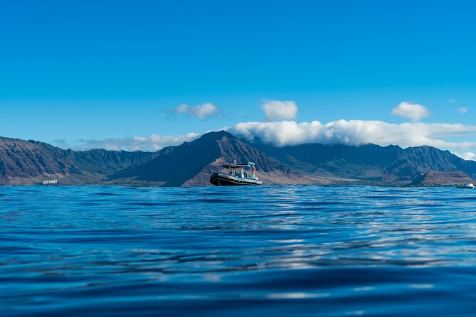 Oahu Swimming With Dolphins Speedboat Adventure - What to Expect on the Adventure