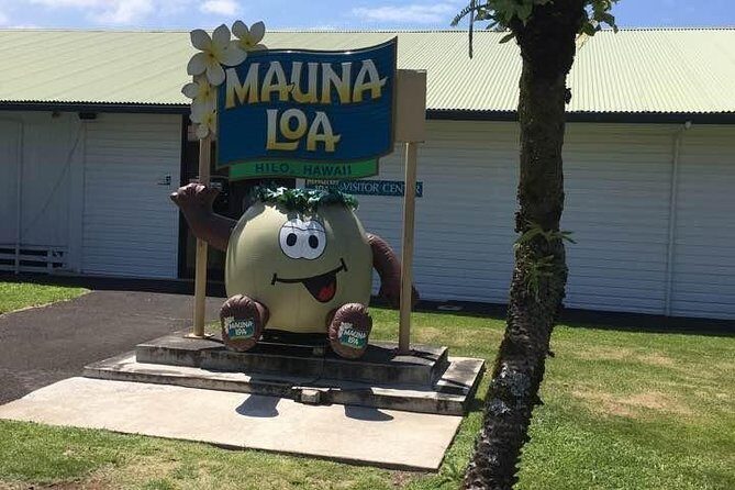 Oahu to Big Island 1 Day Trip : Volcano Tour from Oahu with Air Ticket - Who Will Love This Experience?