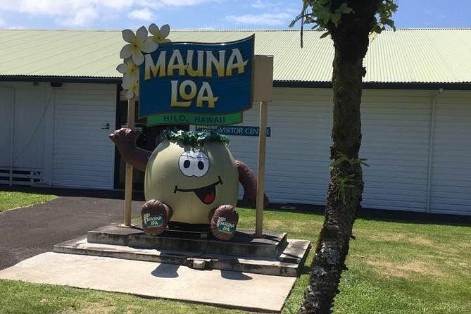 Oahu to Big Island : Big Island Volcano Helicopter Tour & Hilo 1 Day Tour - What You Can Expect from This Tour