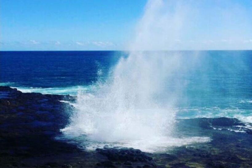 Oahu to Kauai: Napali Coast Helicopter Tour & Waimea Canyon - Is This Tour Worth the Price?
