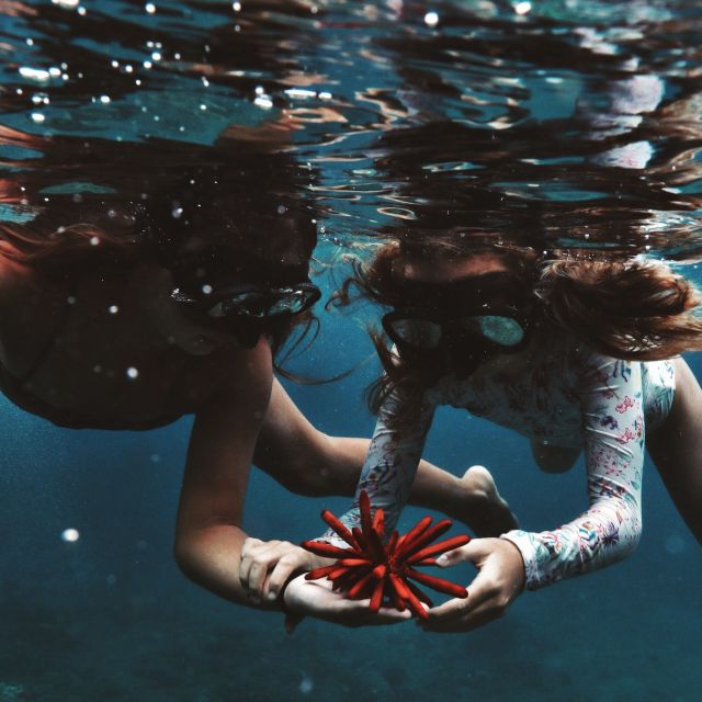 Oahu: Turtle Canyon Snorkeling Boat Tour - An Inside Look at the Snorkeling Experience
