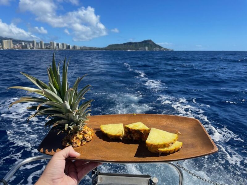 Oahu: Turtle Canyon Snorkeling Boat Tour - The Sum Up