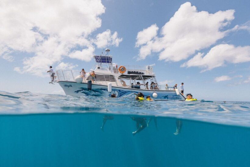 Oahu: Turtle Canyon Snorkeling & Hula Show - Key Points