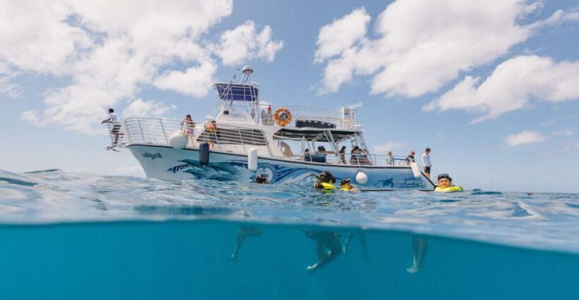 Oahu: Turtle Canyon Snorkeling & Hula Show - Authentic Encounters & Cultural Touches