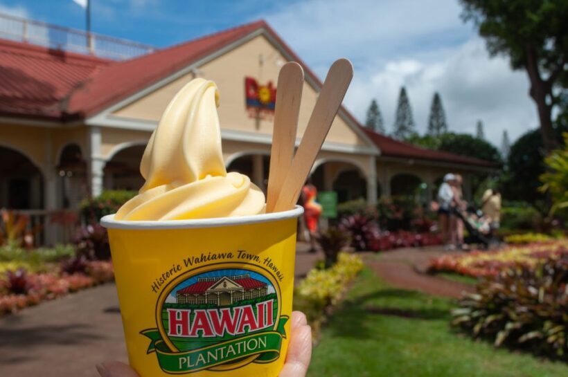 Oahu: Valley of Waimea Falls Swim & Hike with Lunch & Dole - Key Points