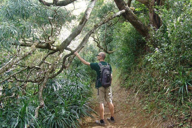 Oahu Volcanic Rainforest Hiking Adventure - FAQ About the Oahu Rainforest Hike