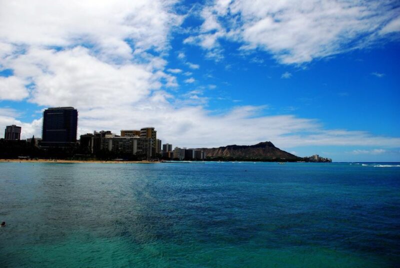 Oahu: Waikiki Eco-Friendly Afternoon Whale Watching Trip - Introduction