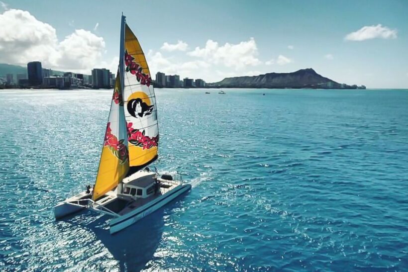 Oahu: Waikiki Eco-Friendly Morning Whale Watching Cruise - The Experience: What You Can Expect