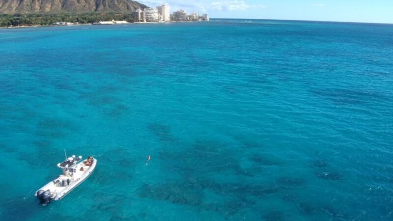 Oahu: Waikiki Private Snorkeling and Wildlife Boat Tour - The Value and Practical Considerations