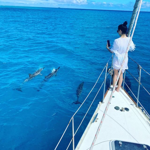 Oahu : Waikiki sailing turtle snorkeling in small groups - Final Thoughts: Is It Worth It?
