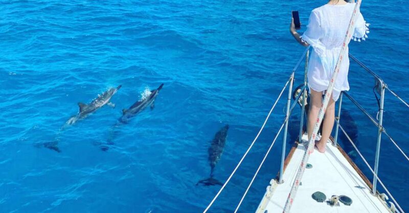 Oahu : Waikiki sailing turtle snorkeling in small groups - Sailing Toward Diamond Head: A Scenic Wind-Down