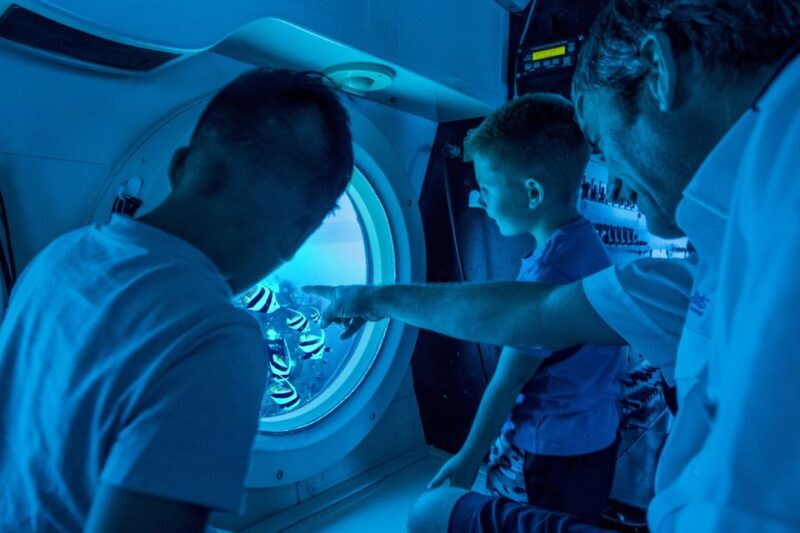 Oahu: Waikiki Submarine Tour - Who Will Love This Tour?