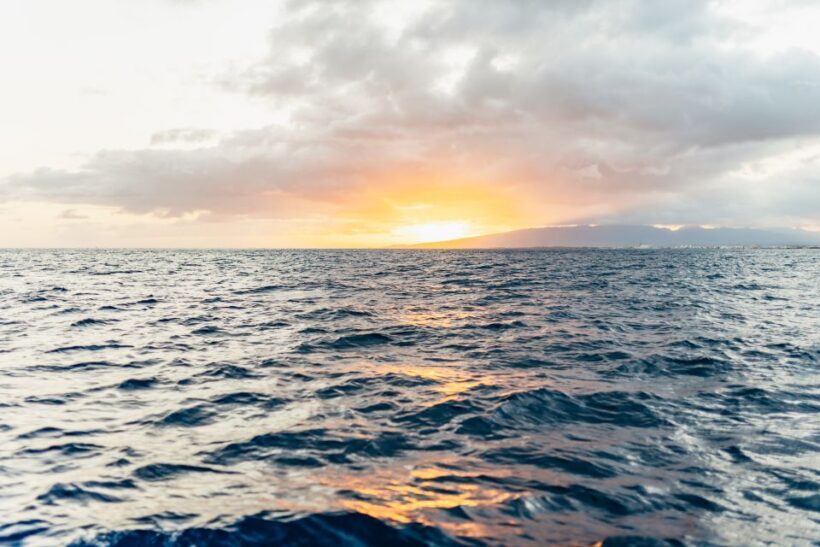 Oahu: Waikiki Sunset Catamaran Cocktail Cruise - Key Points
