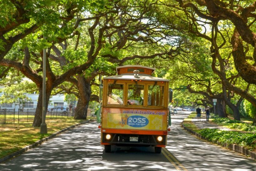 Oahu: Waikiki Trolley Hop-on Hop-off All-Line Pass - FAQs