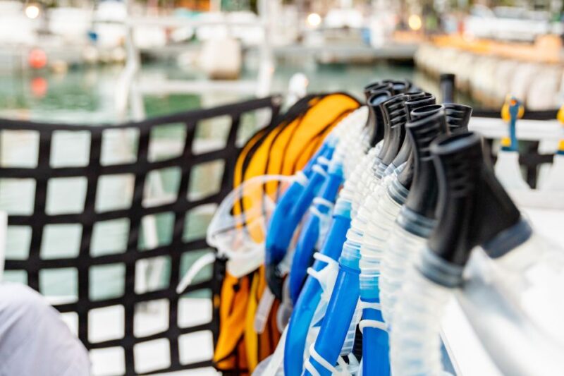 Oahu: Waikiki Turtle Canyons Cruise and Snorkel Excursion - Oahu: Waikiki Turtle Canyons Cruise and Snorkel Excursion